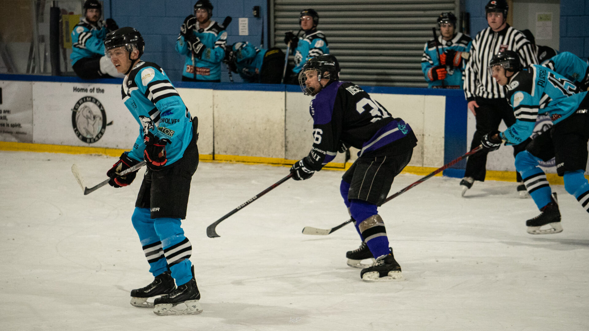 Gallery – Sheffield Ice Tigers
